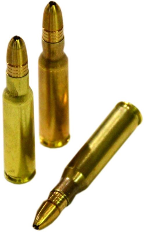 Munition - Jagd - Johannsen Shop